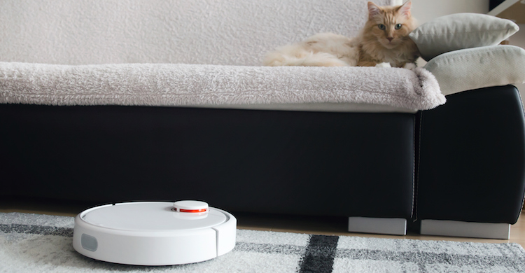 5 consejos para acondicionar tu casa para un gato bebé - Yo amo a las ... 5 consejos para acondicionar tu casa para un gato bebé - Yo amo a las ...